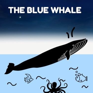 Book Creator | The Blue Whale