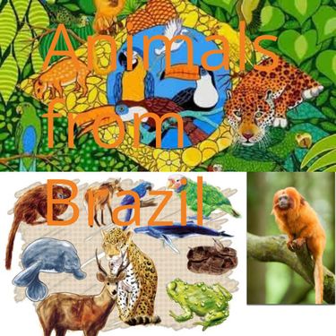 Book Creator | Brazilian animals