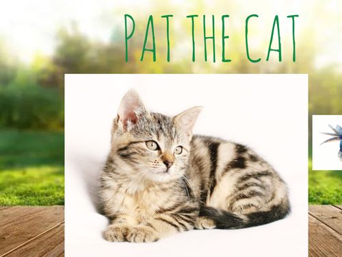 Book Creator | Pat the cat (short and long A)