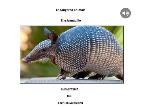 Book Creator | Armadillos
