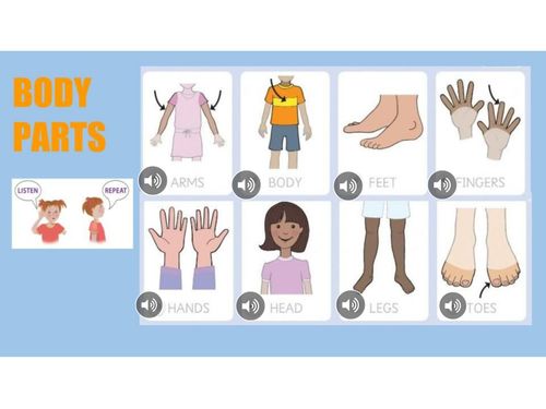 Book Creator | BODY PARTS