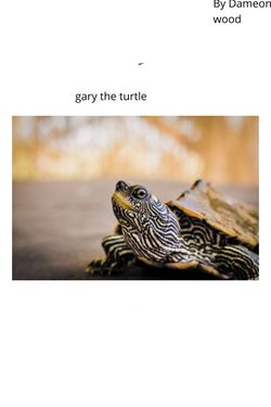 Book Creator | Gary The Turtle