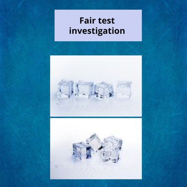 Book Creator | Fair test investigation