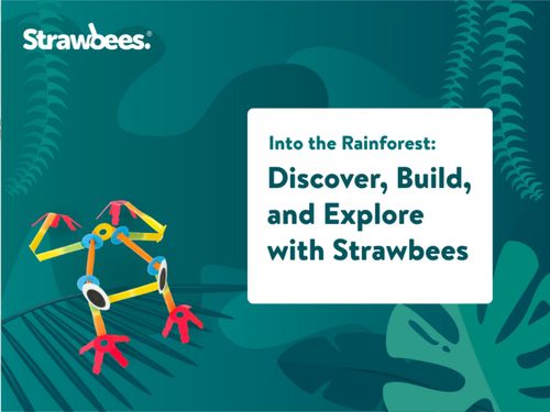 Book Creator | Strawbees Intro: Rainforest Biome