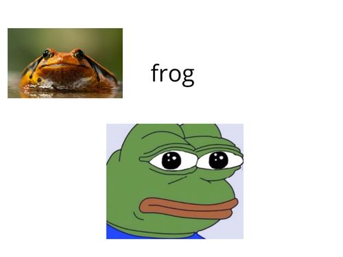 Book Creator | Frog