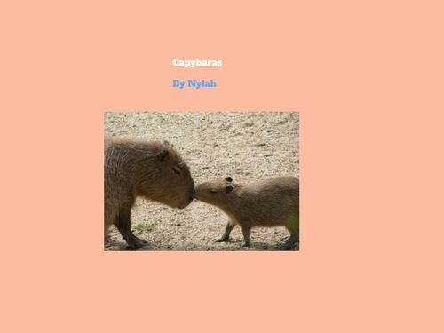 Book Creator | Capybaras