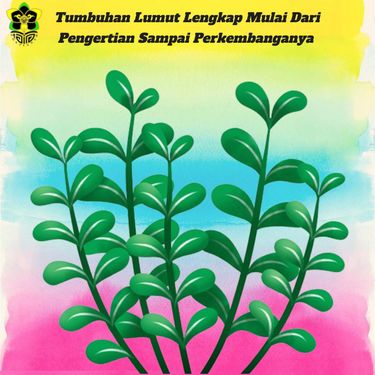 Book Creator | tubumbuhan lumut lengkap