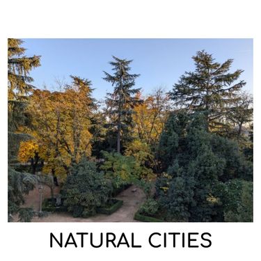 Book Creator | Natural cities