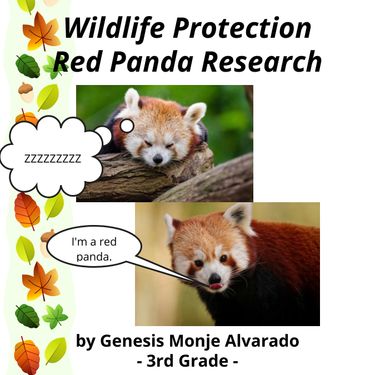 Book Creator | Red Panda