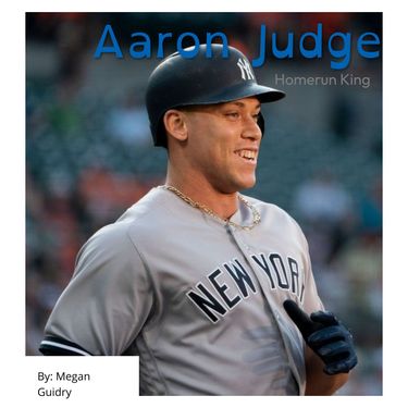Book Creator | Aaron Judge
