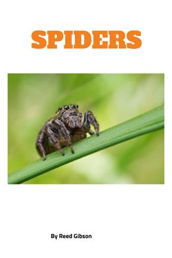 Book Creator | Spiders