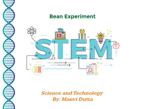Book Creator | Bean Experiment