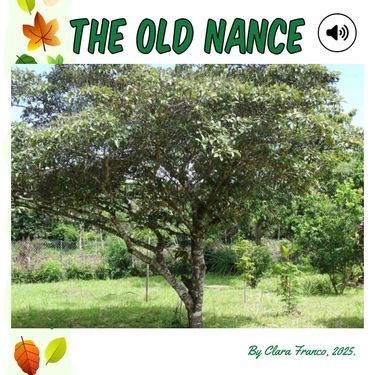 Book Creator | The old Nance