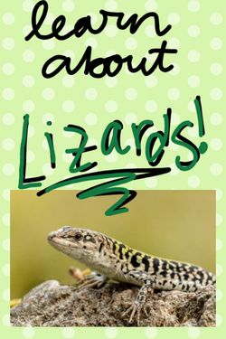 Book Creator | Learn about Lizards!
