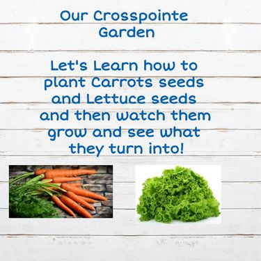 Book Creator | Our Crosspointe Garden!