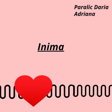 Book Creator | Inima