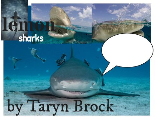 Book Creator | Lemon Shark