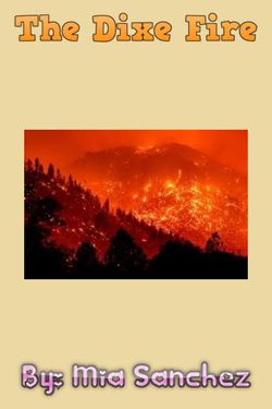 Book Creator | Dixie