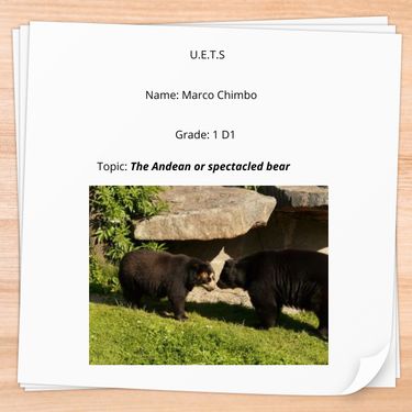 Book Creator | Marco Chimbo Examen de Ingles