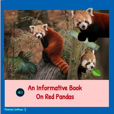 Book Creator | An Informative Book on Red Pandas :3