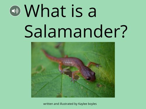 Book Creator | Salamander