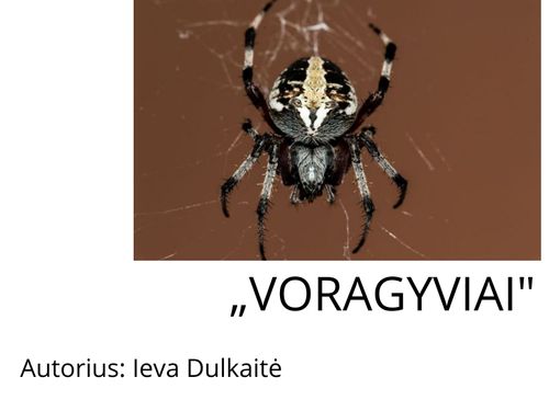 Book Creator | Voragyviai
