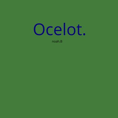 Book Creator | Ocelot