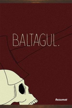 Book Creator | baltagul