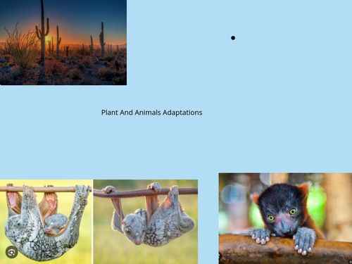 Book Creator | Plant and Animal Adaptation Research