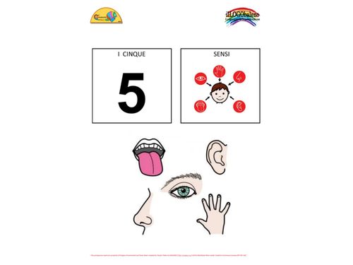 Book Creator | 5 sensi in Caa