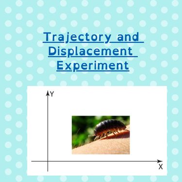 Book Creator | 4E Trajectory and Displacement