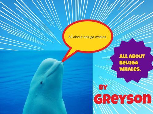 Book Creator | Beluga Whales