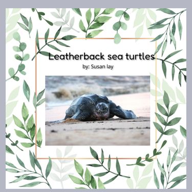 Book Creator | Leatherback Sea Turtle