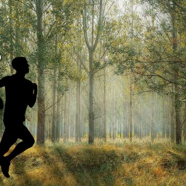 Book Creator | woods runner