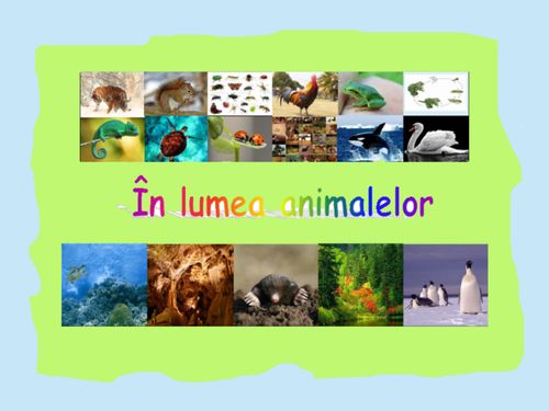 Book Creator | În lumea animalelor