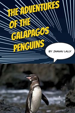 Book Creator | The Adventures of the Galapagos Penguins
