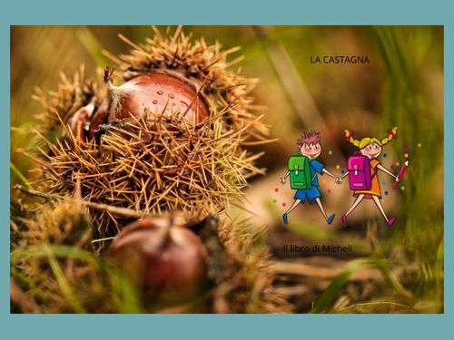 Book Creator | La Castagna