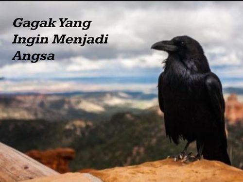 Book Creator | Gagak yang ingin menjadi angsa