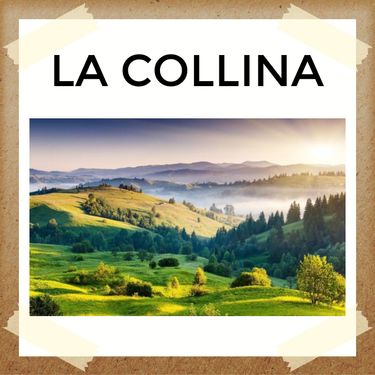 Book Creator | LA COLLINA