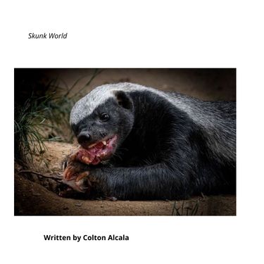Book Creator | All About Skunks