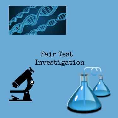 Book Creator | Fair Test Investigation