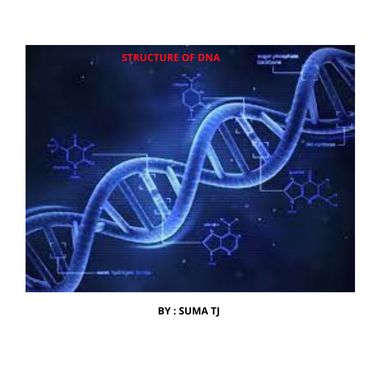 Book Creator | STRUCTURE OF DNA
