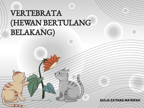 Book Creator | Vertebrata