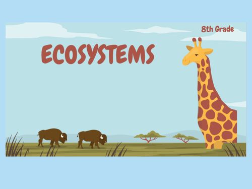 Book Creator | ECOSYSTEM