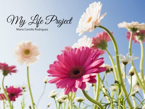 Book Creator | My Life Project