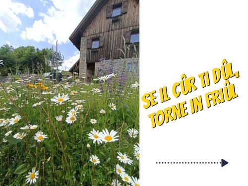 Book Creator | Proverbi friulani