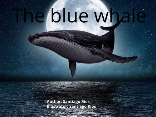 Book Creator | Whales
