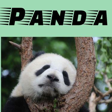 Book Creator | Pandas