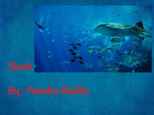 Book Creator | SHARK