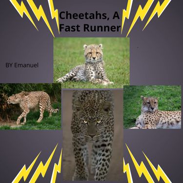 Book Creator | Cheetahs, A Fast Runner